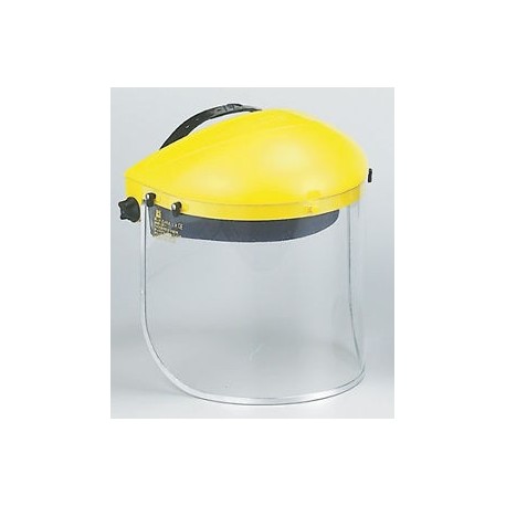 Blue Eagle Face Shield